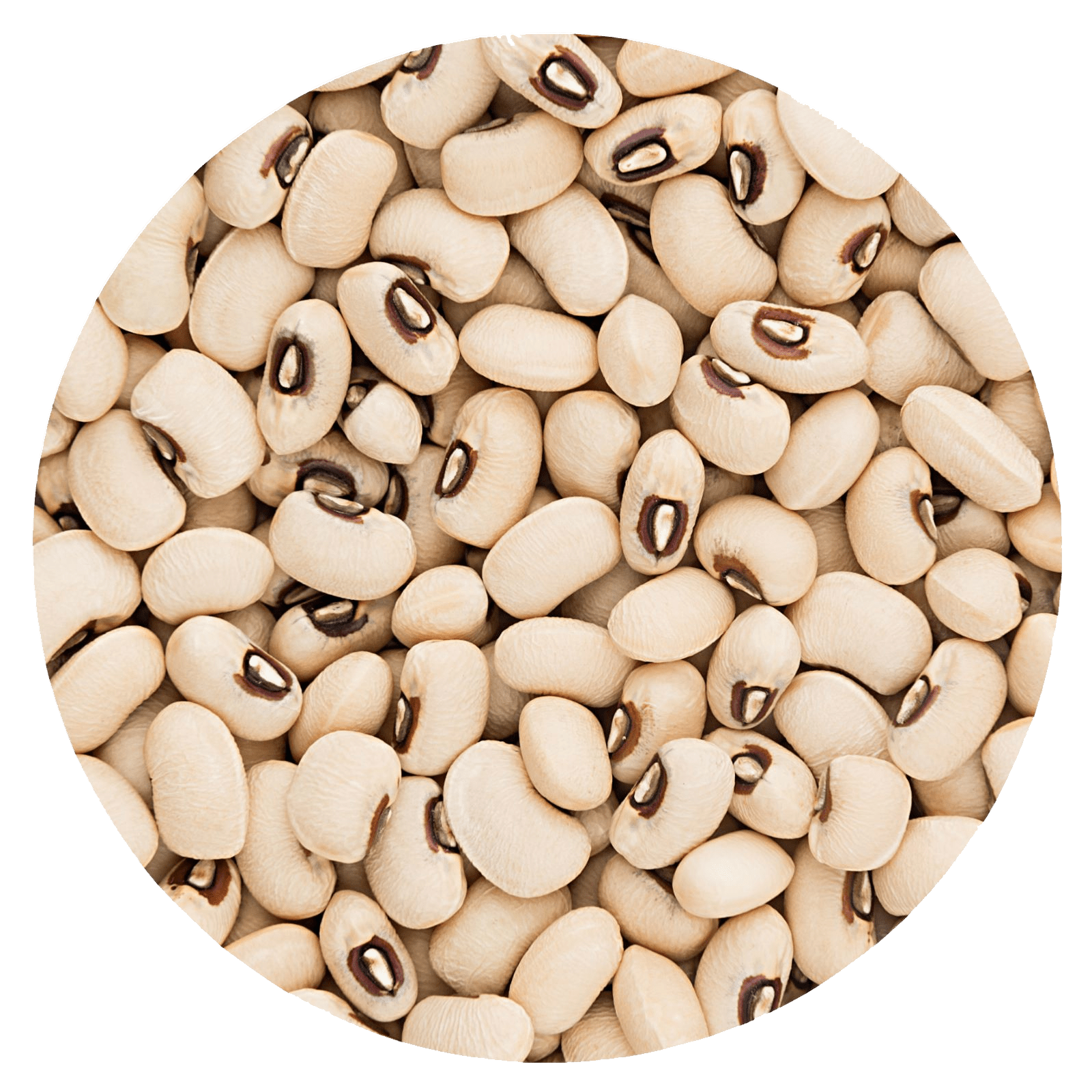 Best PCOS Medicine in Pakistan | Fertility Improvement - Geneoova